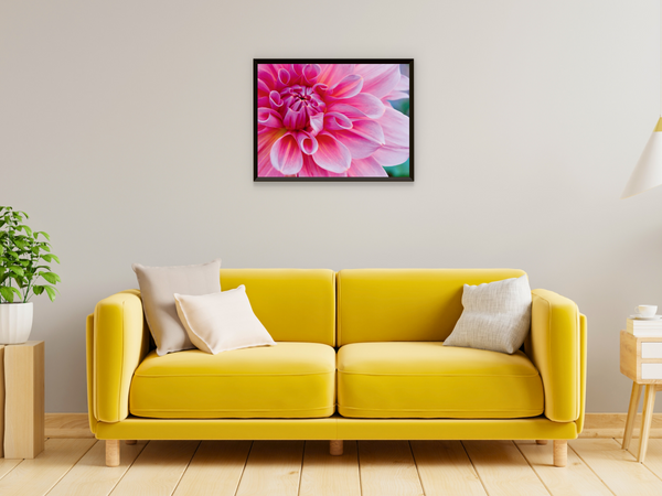 Nature & Calm (Bundle) – NATURAL SNAPSHOTS