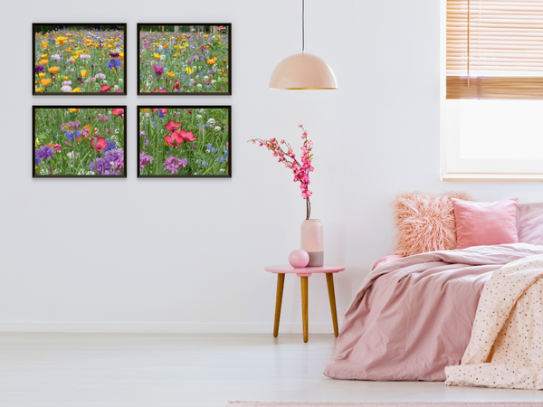 Colorful Flower Meadow-Split-Photography – NATURAL SNAPSHOTS